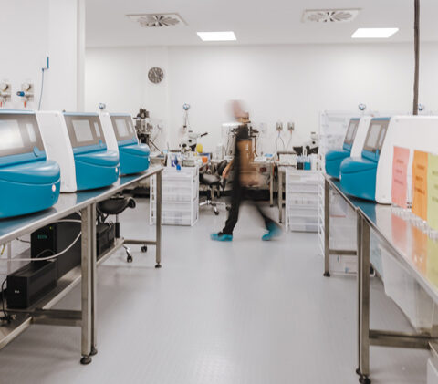 IVF Melbourne - Fertility Expert Dr Lynn Burmeister