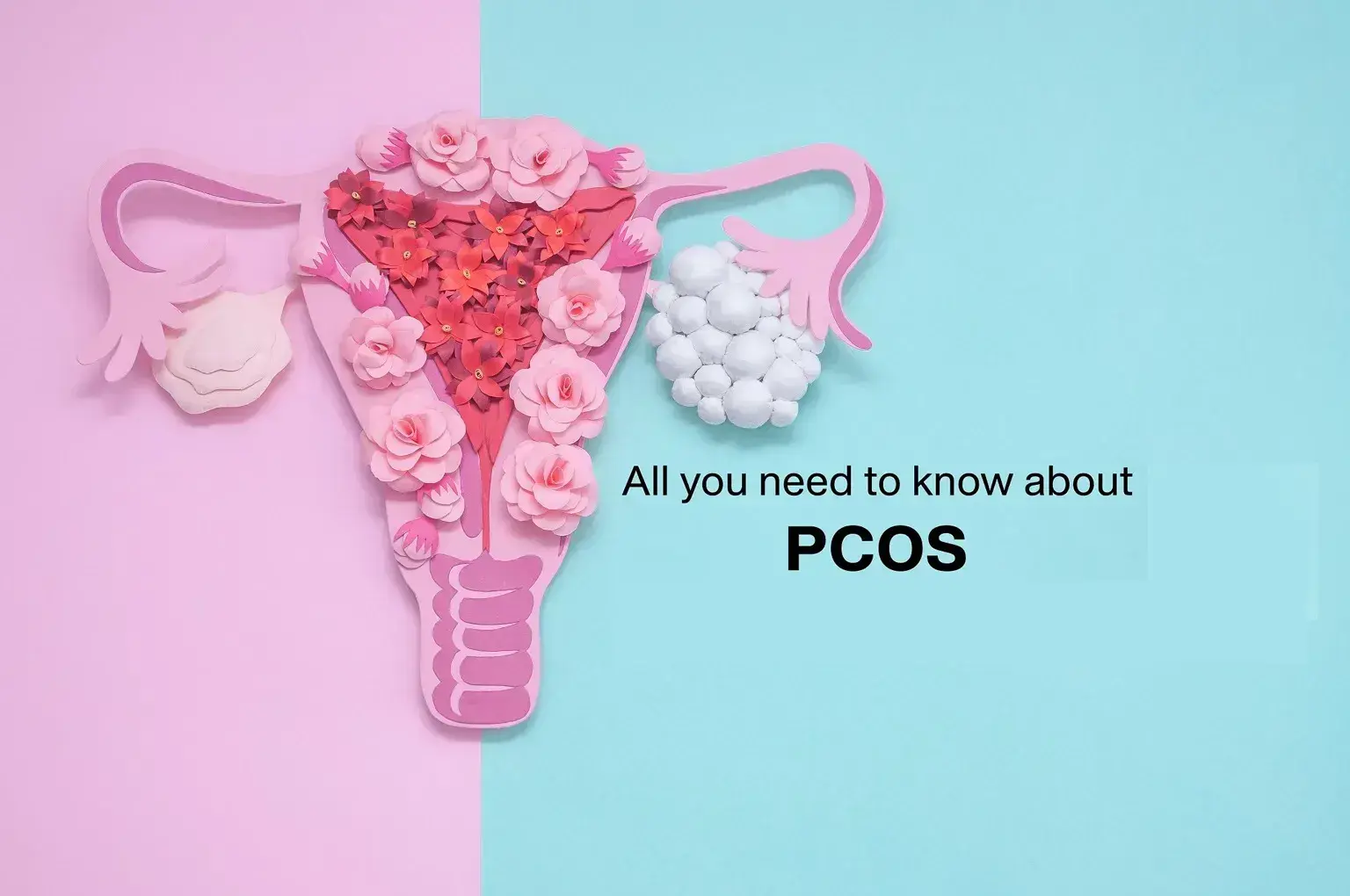 PCOS Awareness Month : Shining a Light on Women’s Health - Fertility ...